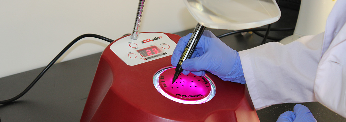 Middle East Labs: Home